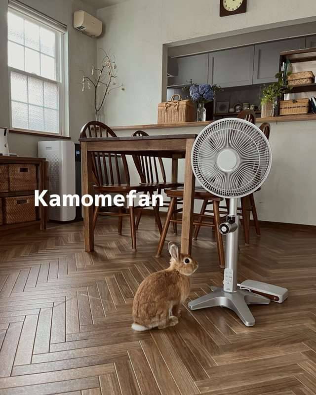 #コードレス で「Kamomefan」を長時間使用可能にする「Otomo Do… | 家電BOX /カデンボックス/kadenbox